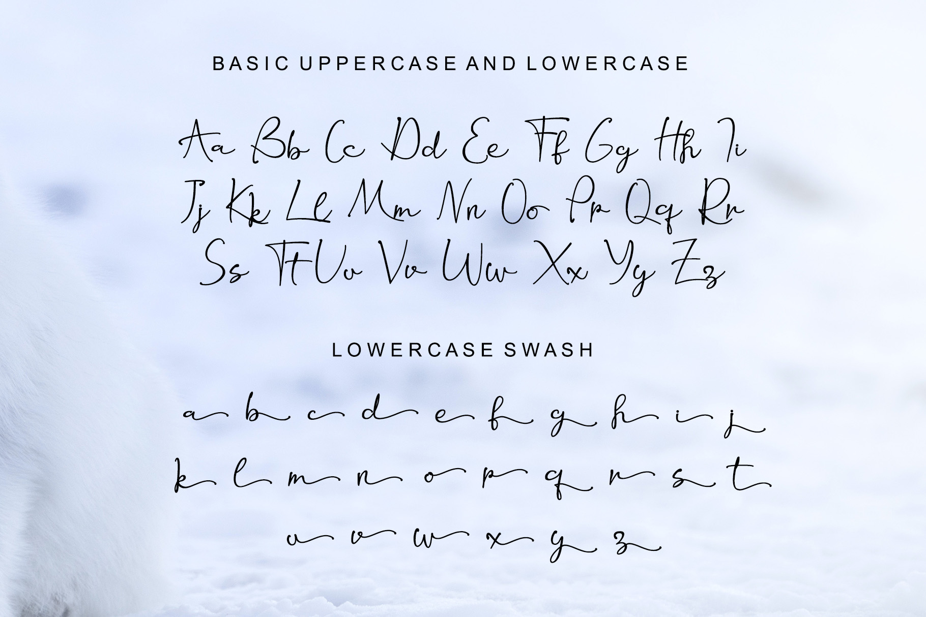 Wolfriend - Modern Handwritten Font, Fonts | GraphicRiver